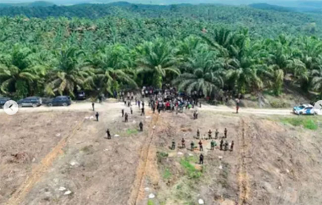 Suyadi Serahkan 301 Ha Lahan TNTN yang Dikuasainya secara Ilegal untuk Kembali Jadi Hutan Konservasi