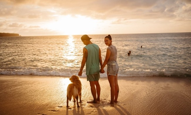 Biodata dan Agama Fandy Christian, Digugat Cerai Dahlia Poland usai ...